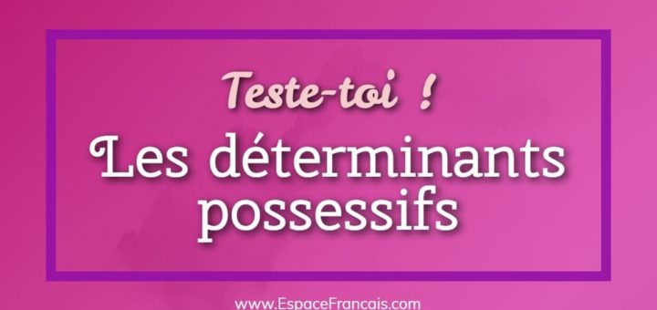Grammaire – Exercices et quiz – EspaceFrancais.com
