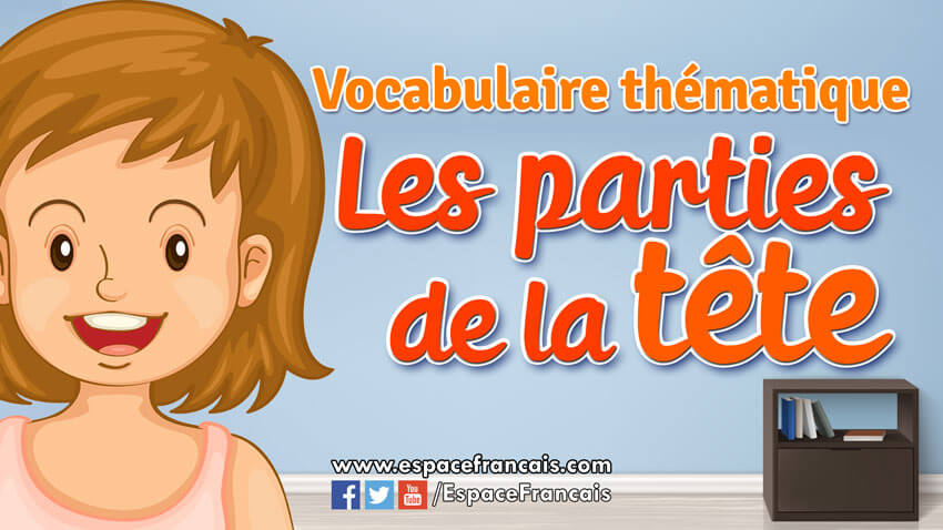Les parties de la tête – EspaceFrancais.com
