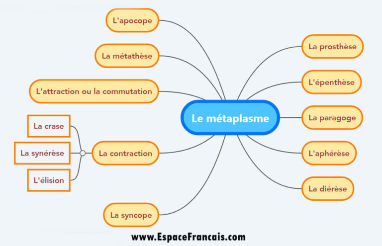 Le métaplasme – Parmi les métaplasmes, on distingue : la prosthèse, l ...